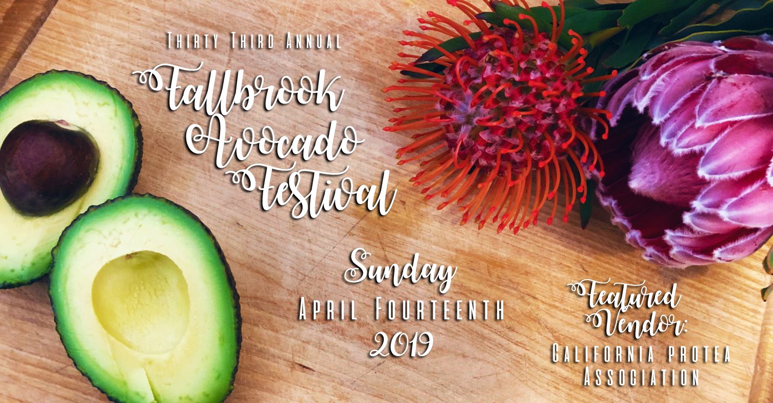 avo fest graphic - Resendiz Brothers
